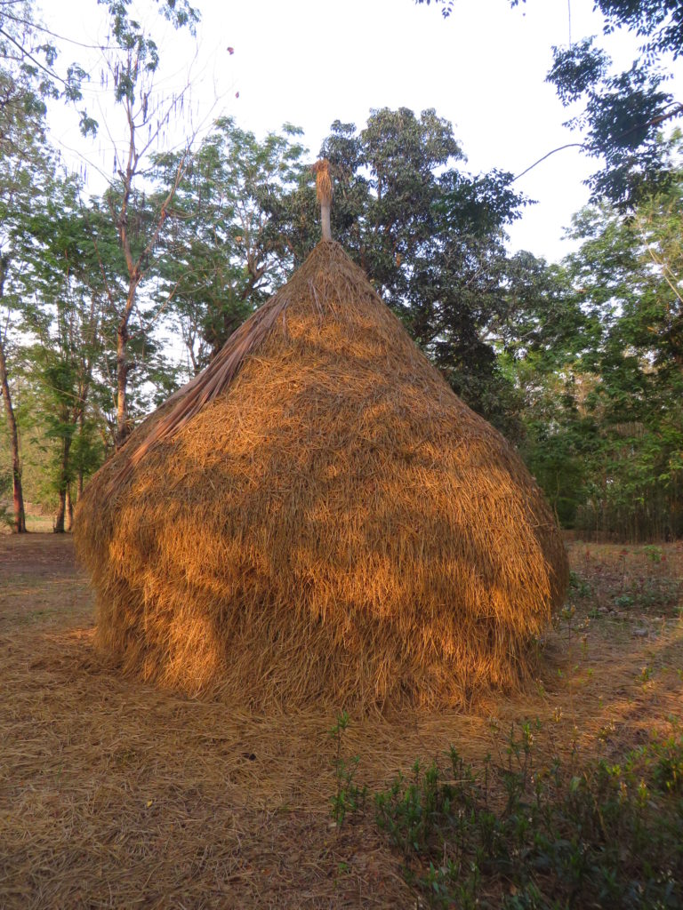 The joys of Bengali haystacks - Insideotherplaces